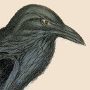 Home - Mozilla Hacks - the Web developer blog