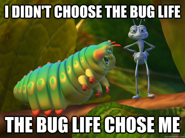 Analyzing Bugzilla Testcases with Bugmon - Mozilla Hacks - the Web ...